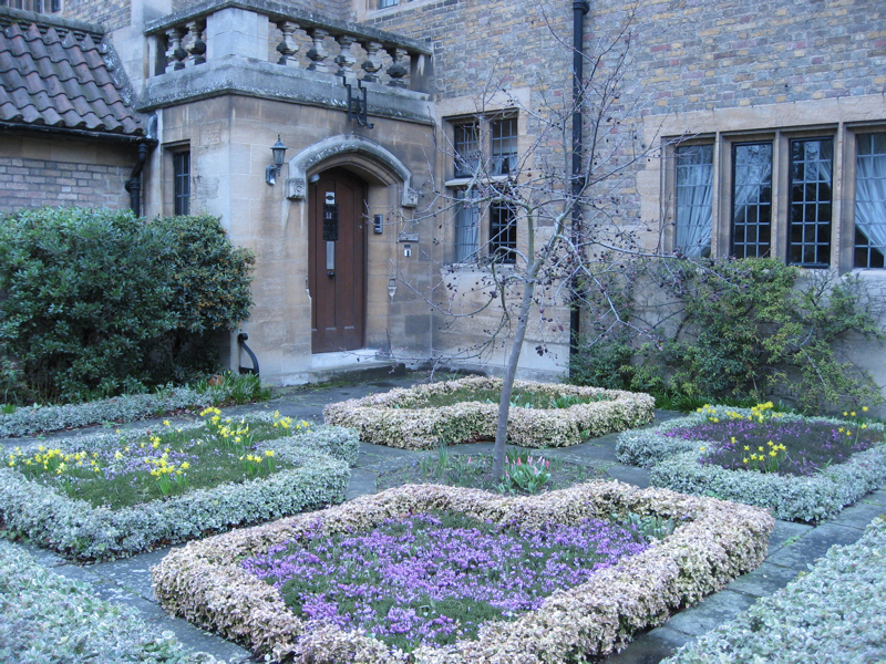 spring-flowers-cambridge-1.jpg | Peter James Thomas