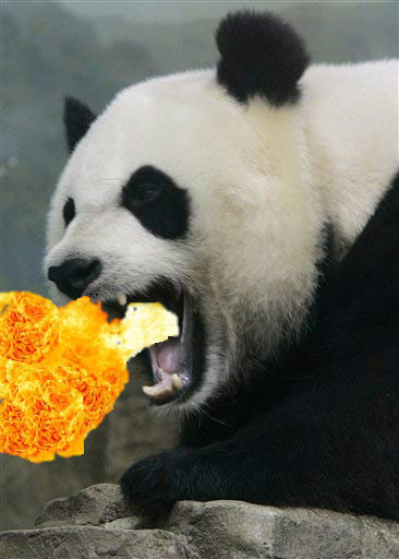 panda-fire | Peter James Thomas