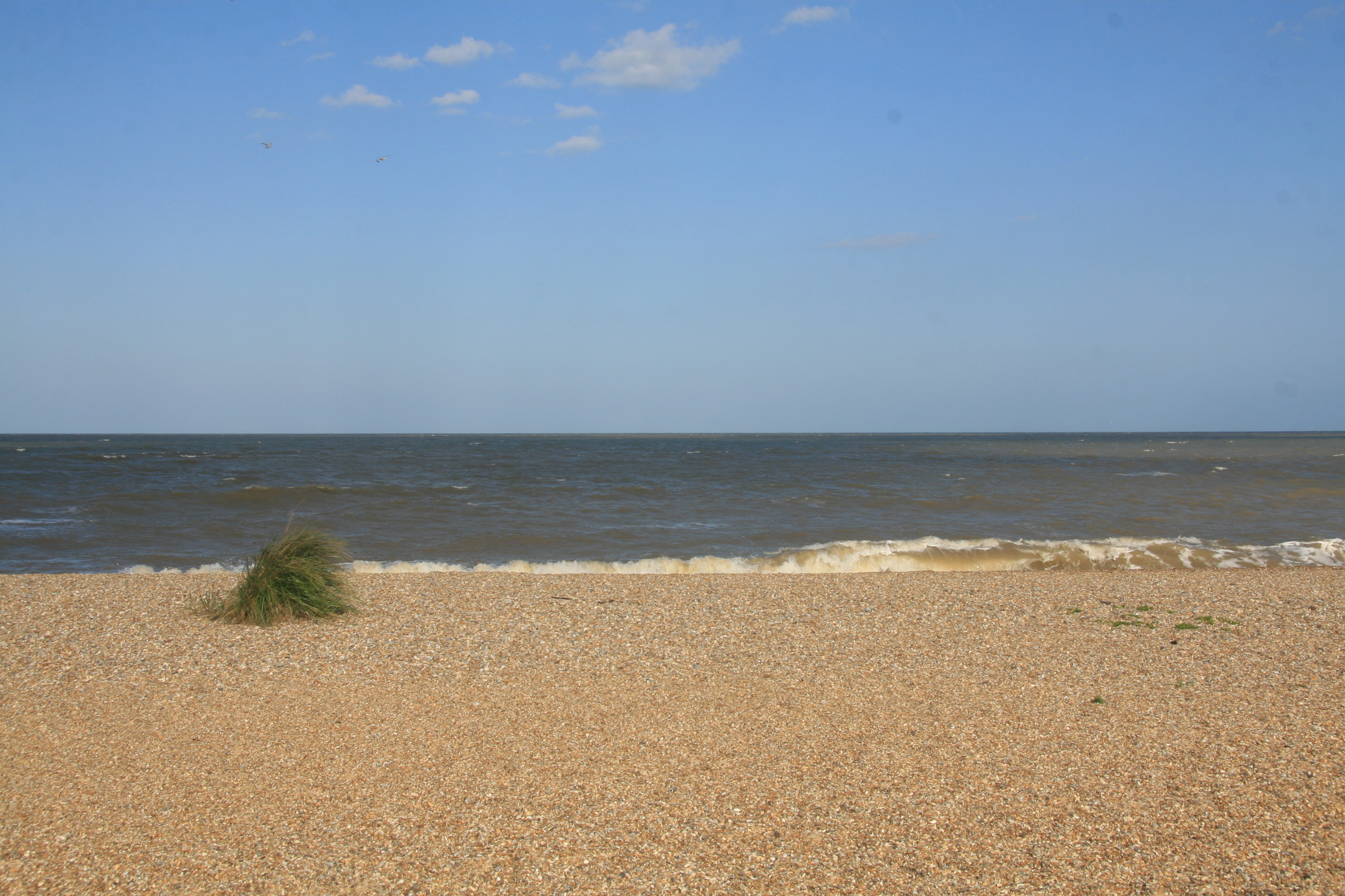 IMG_0748 | Peter James Thomas